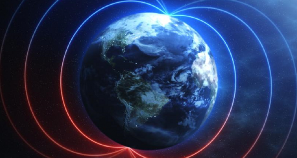 Effects of Earth's Magnetic Field on Birds | Stanford Magnets